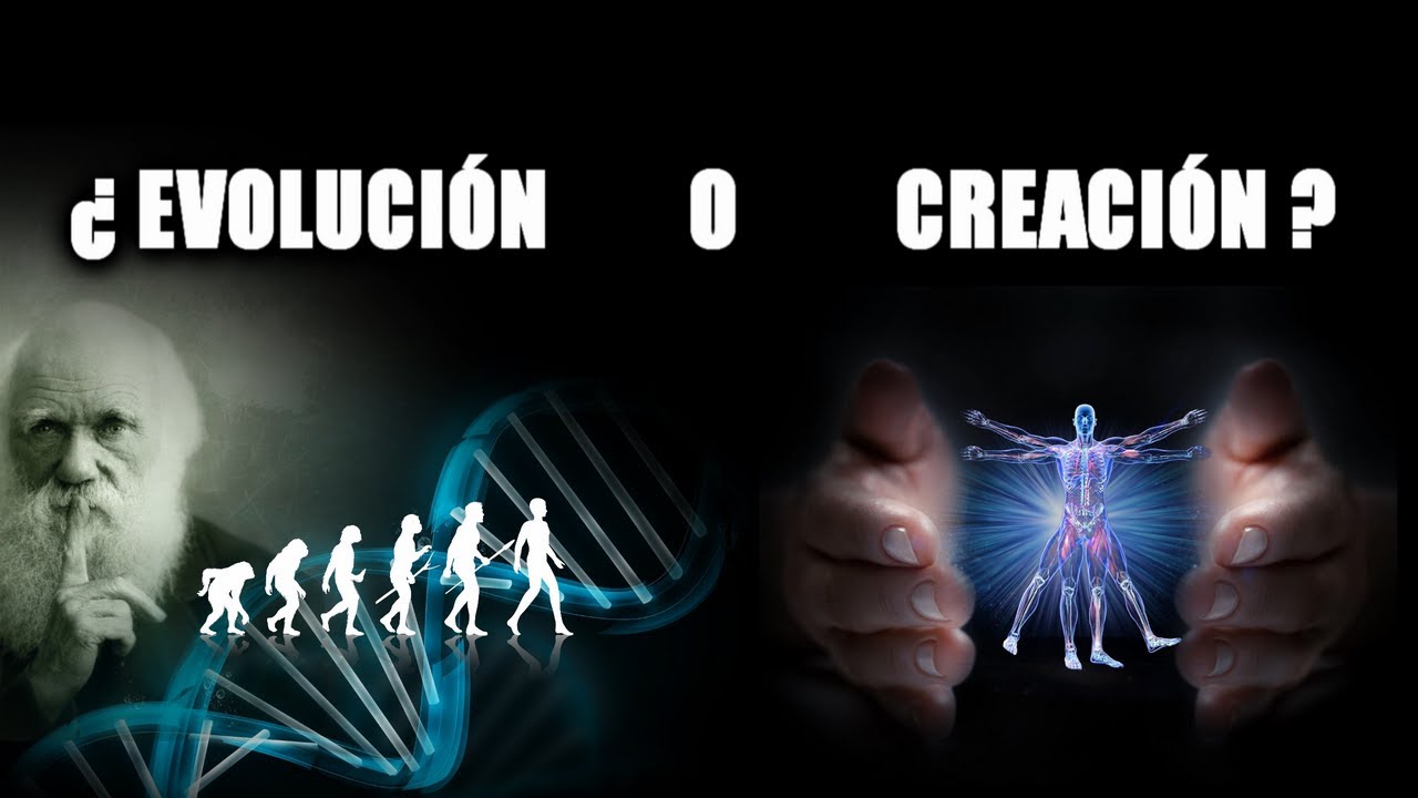 ¿El primer ser humano fue evolución o un diseño inteligente? - YouTube