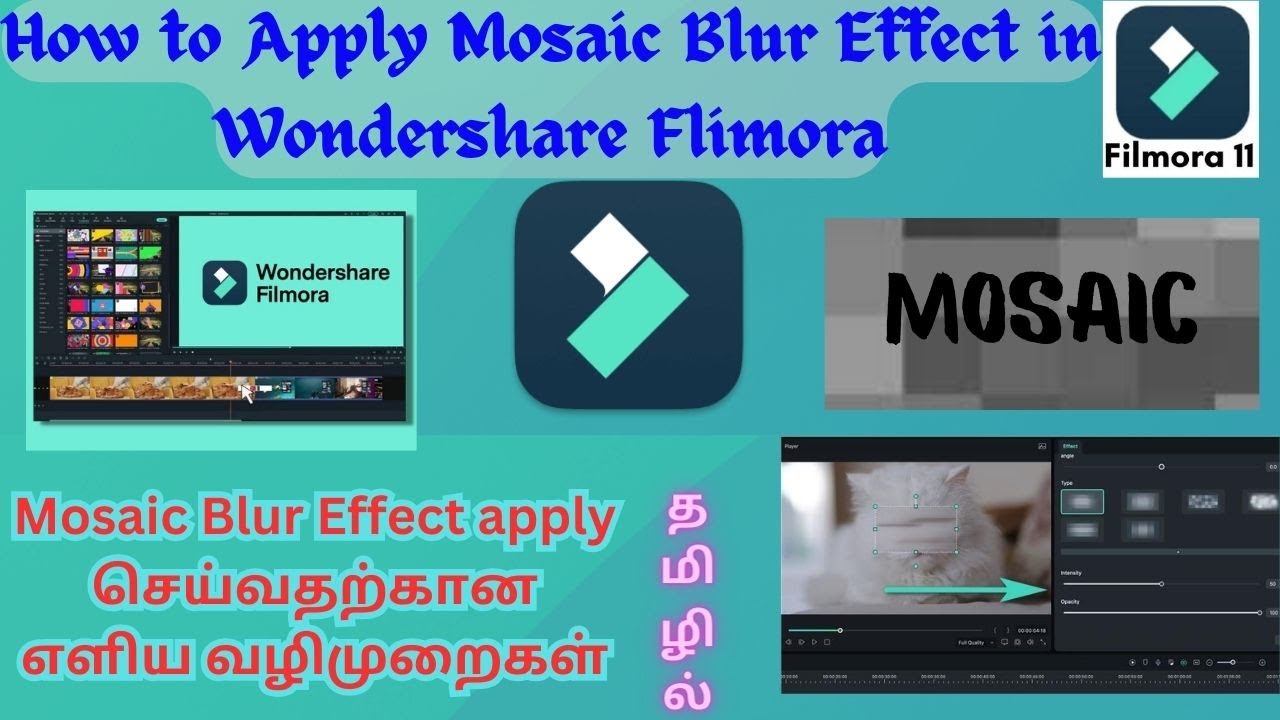 How to apply Mosaic Blur Effect in Flimora | Mosaic Blur effect apply செய்வதற்கான எளிய ...