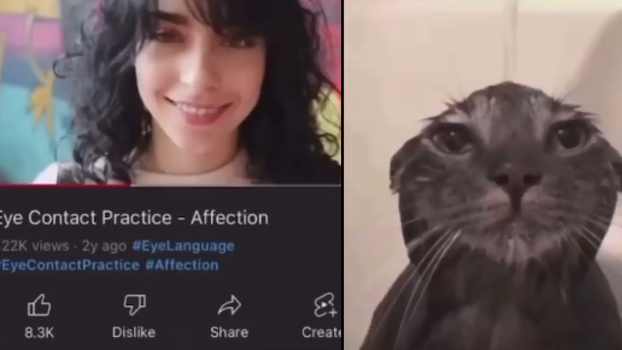 Eye Contact Practice: affection - YouTube