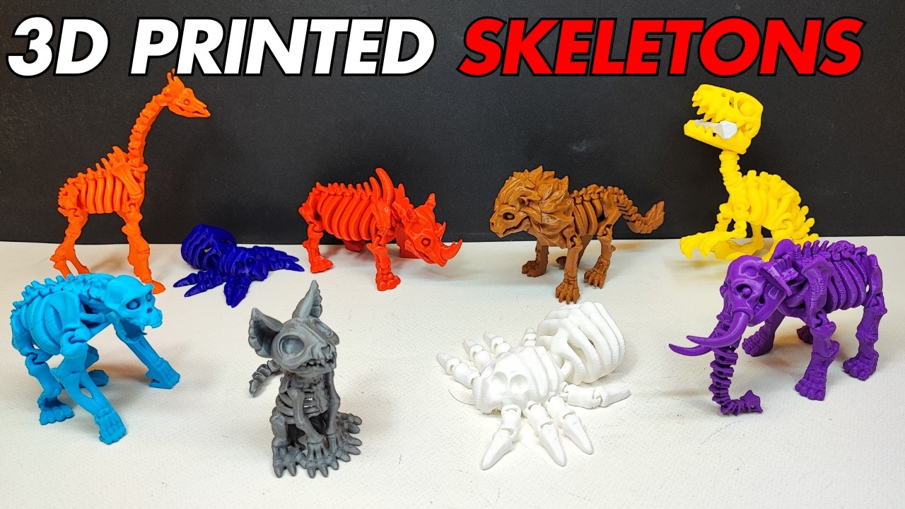 3D Printed Skeletons _ S5 | Dinosaur Skeleton - YouTube