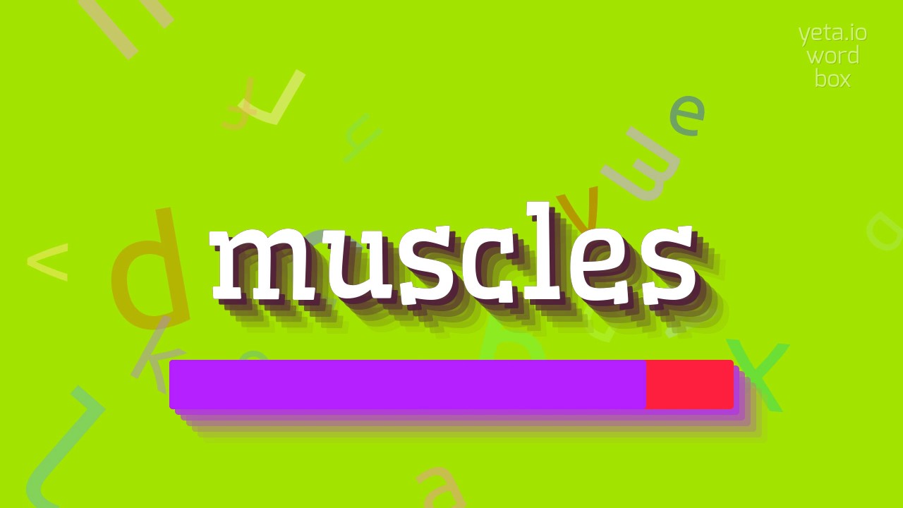 How to say "muscles"! (High Quality Voices) - YouTube