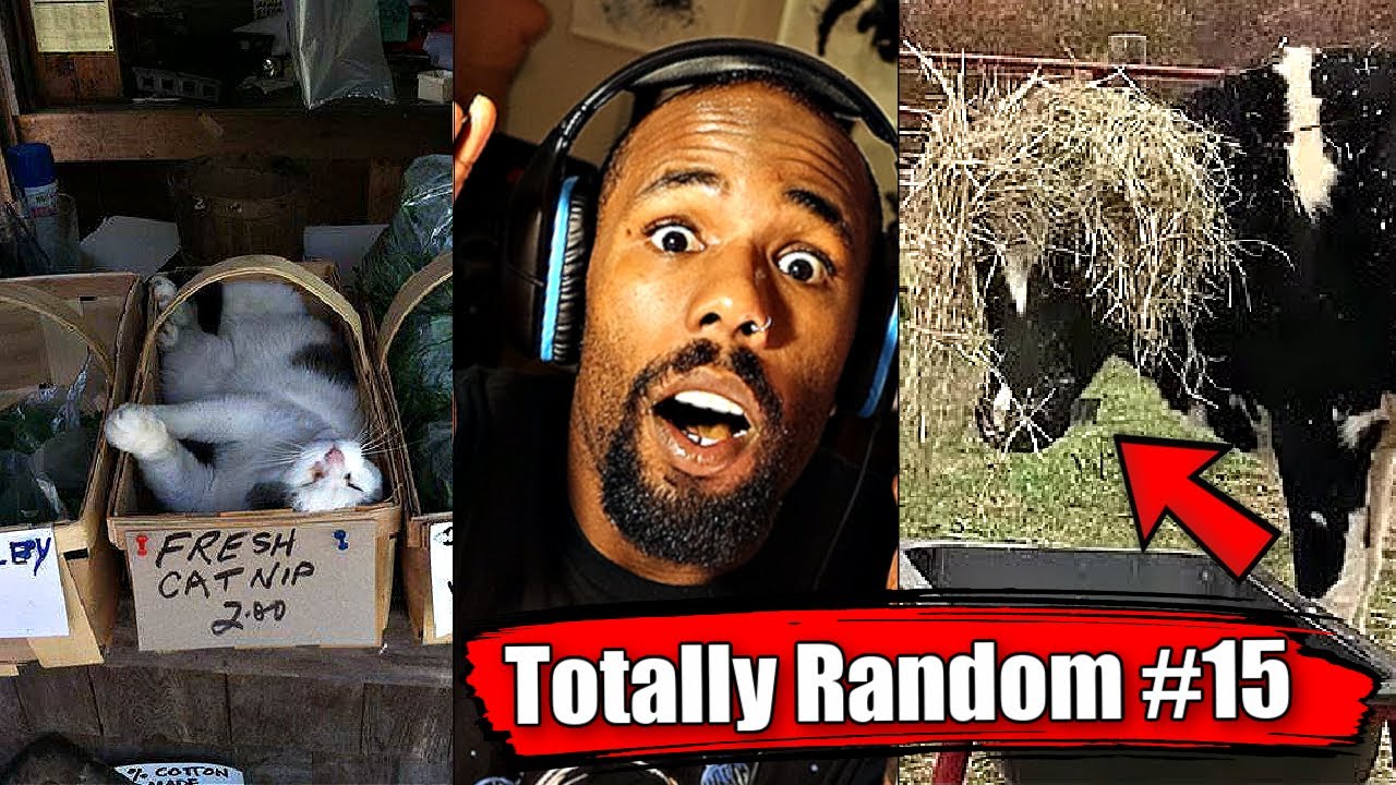 Hilarious Totally Random #15 (Official Reaction) - YouTube