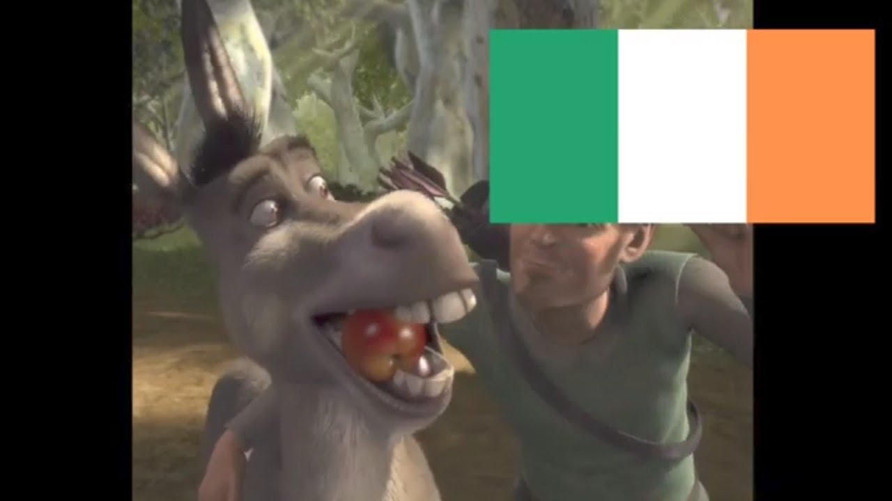 Shrek - merry men Robin hood song - (Irish) - YouTube