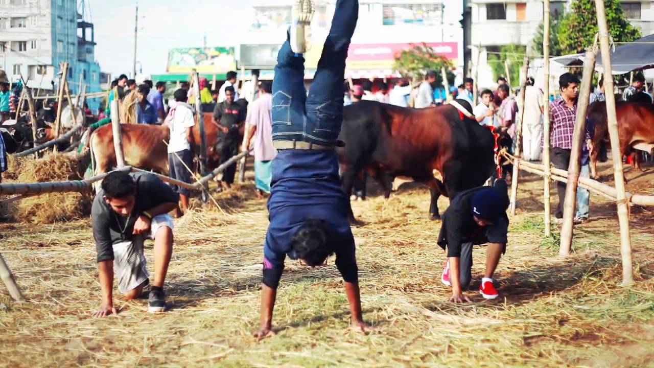 Hamba Song (Official Video) - YouTube