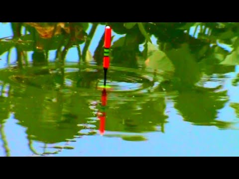 Spot anti boncos | mancing nila || pelampung ngetrik || fishing mania