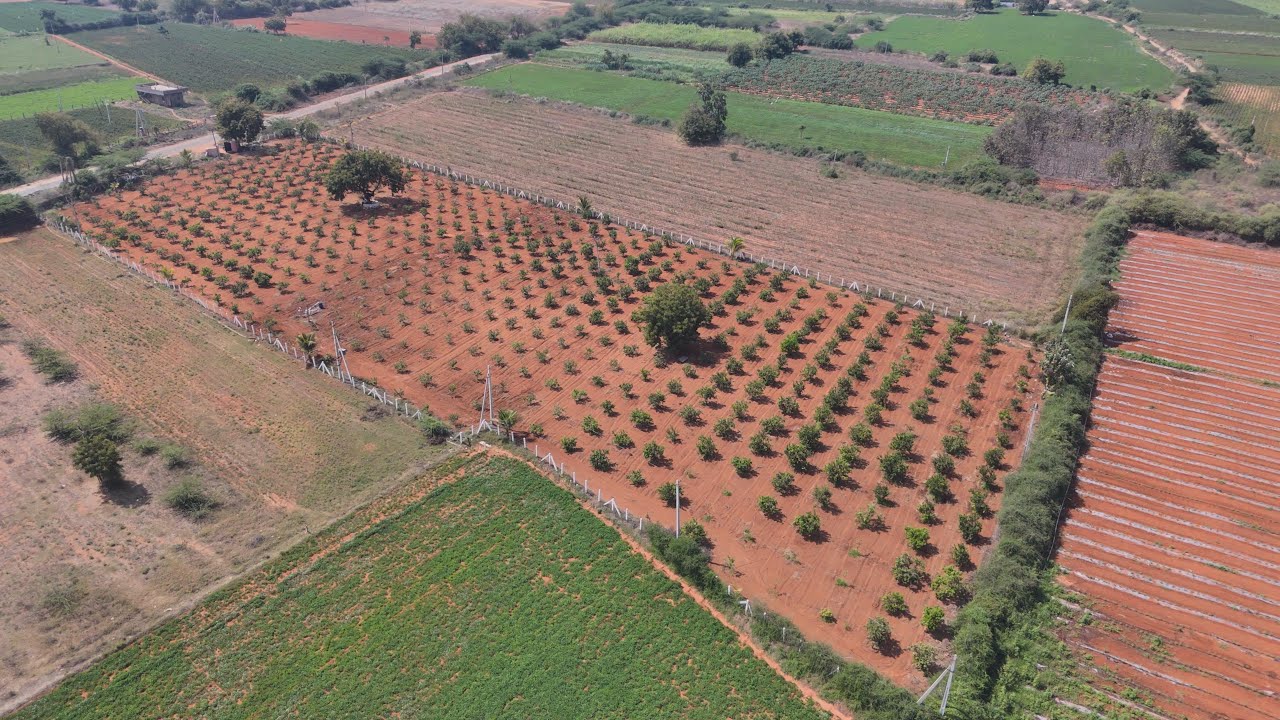 Aerial inspection of a land for a real estate company - YouTube