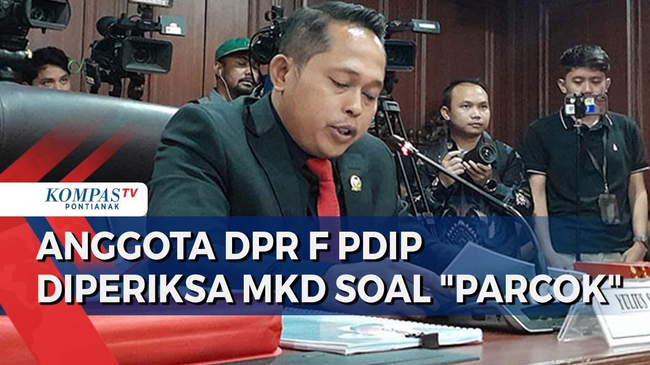 Lempar Pernyataan terkait Partai Cokelat, Anggota DPR Fraksi PDIP ...