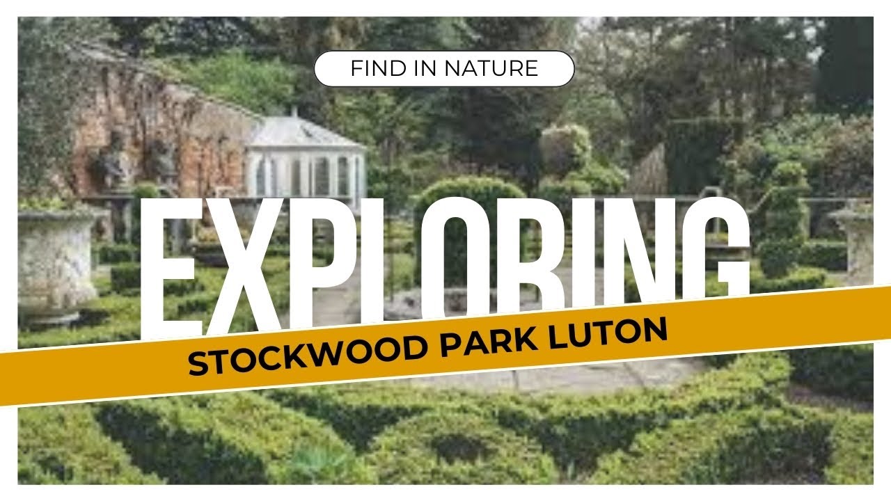 Discover Stockwood Park Luton | A Tranquil Escape in the Heart of Luton ...