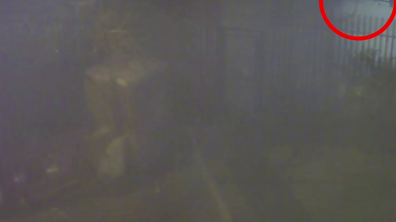Malachi Brooks murder footage - YouTube
