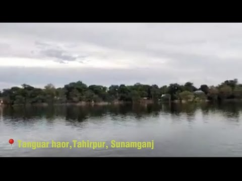 Tanguar haor, Tahirpur, Sunamganj. - YouTube