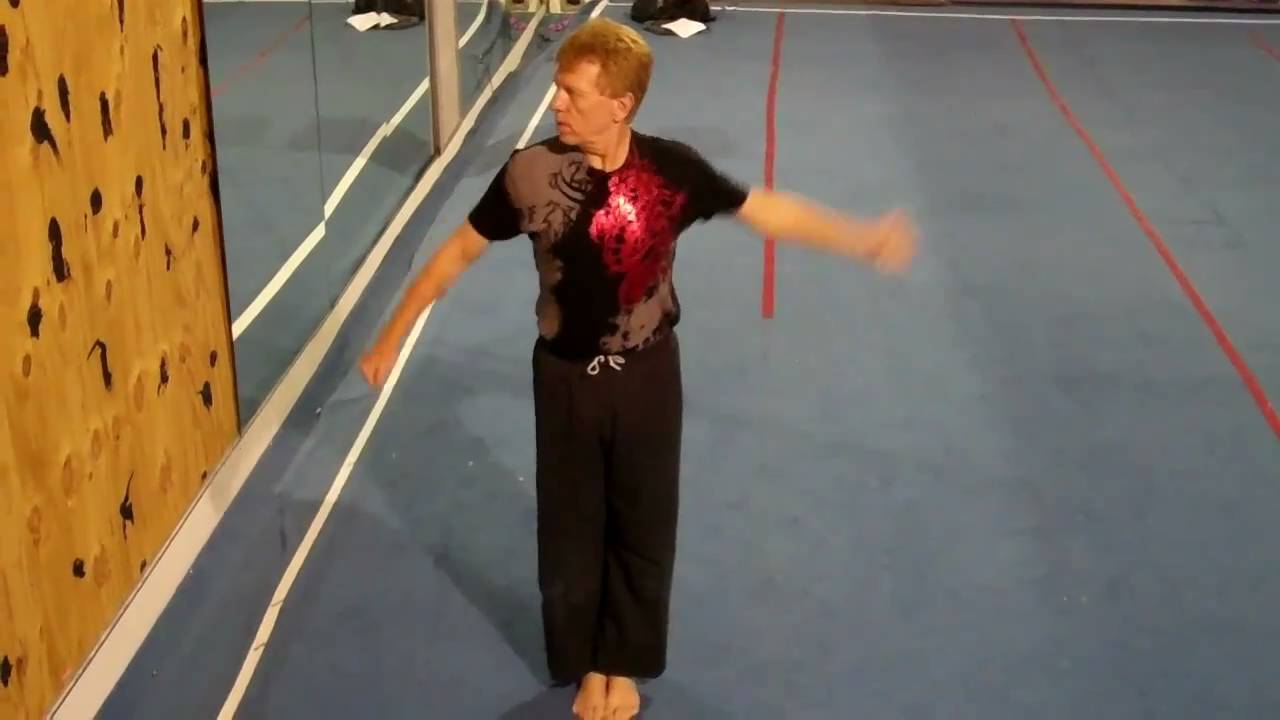 Forms from the 5 Animal Styles of Kung Fu - YouTube