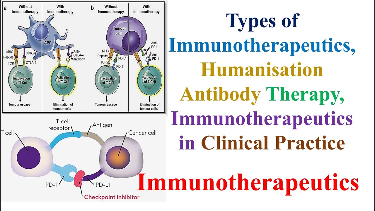 #Immunotherapy, Types, Humanization Antibody Therapy ...
