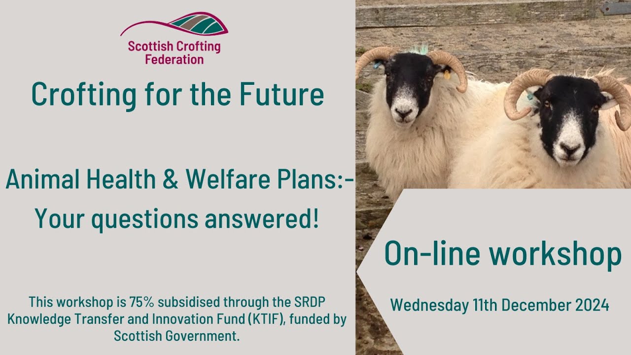 Animal Health & Welfare Plans - YouTube