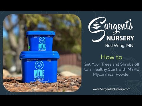 How to Get Your Trees and Shrubs off to a Healthy Start with MYKE ...