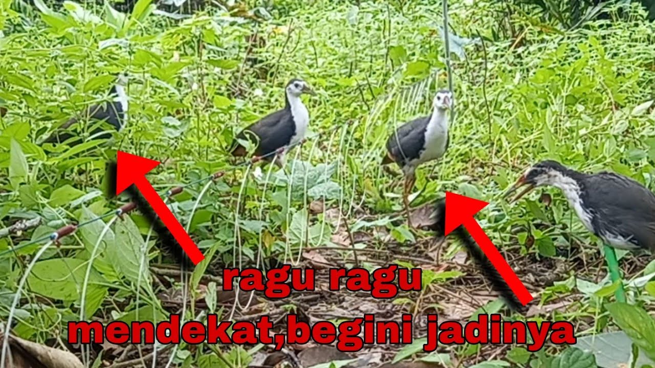 Ini yang terjadi kalau ragu ragu mendekat,mikat di hari ketiga puasa ...