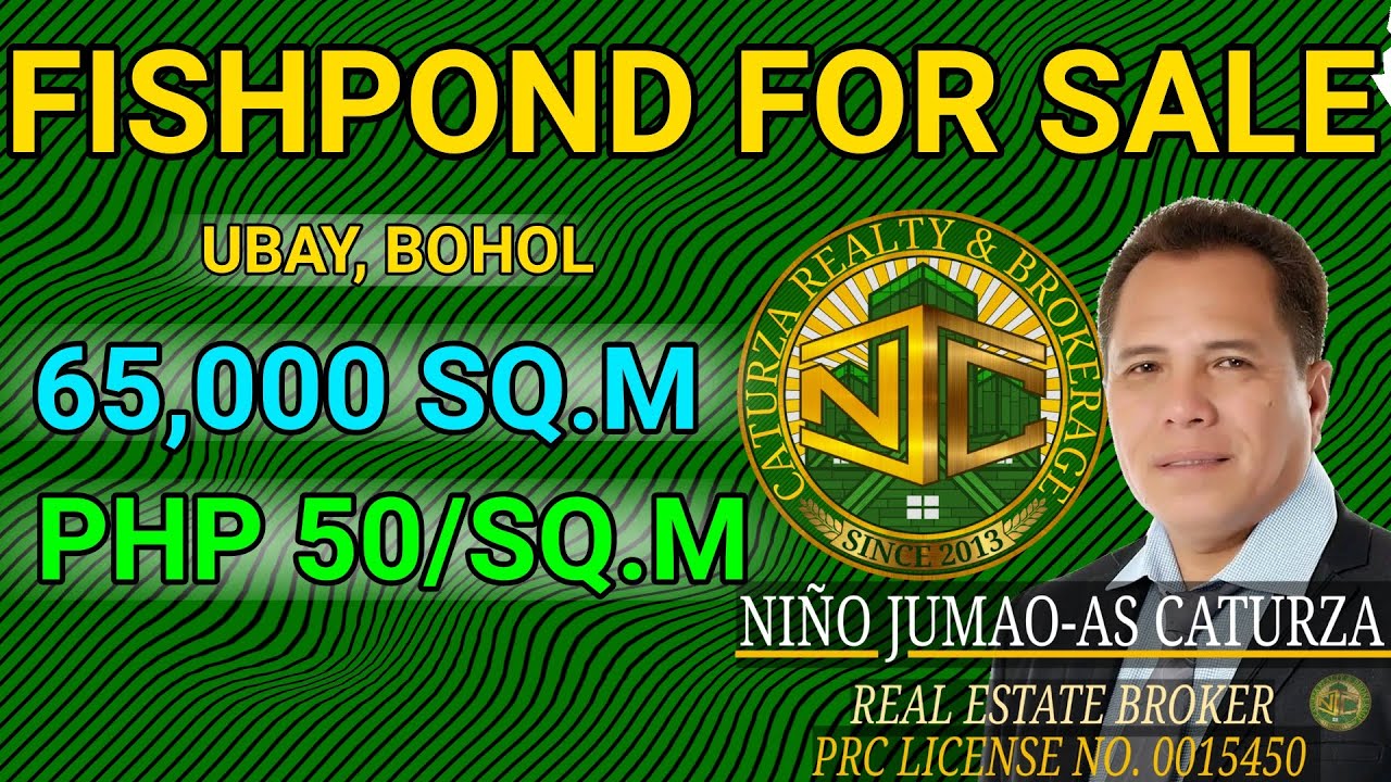 Cheap fishpond for sale 65,000 sqm tax declaration UBAY BOHOL ...