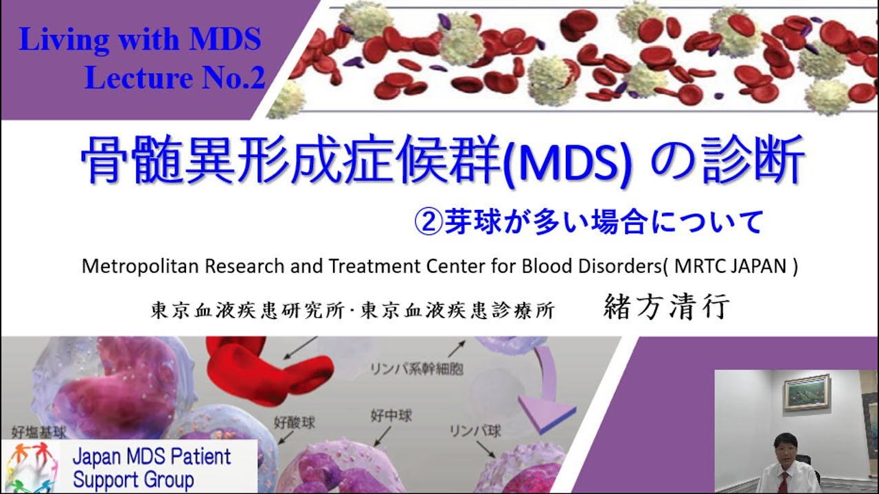 Diagnosis of HighGrade MDS 骨髄異形成症候群の診断 ②芽球の多い場合 - YouTube