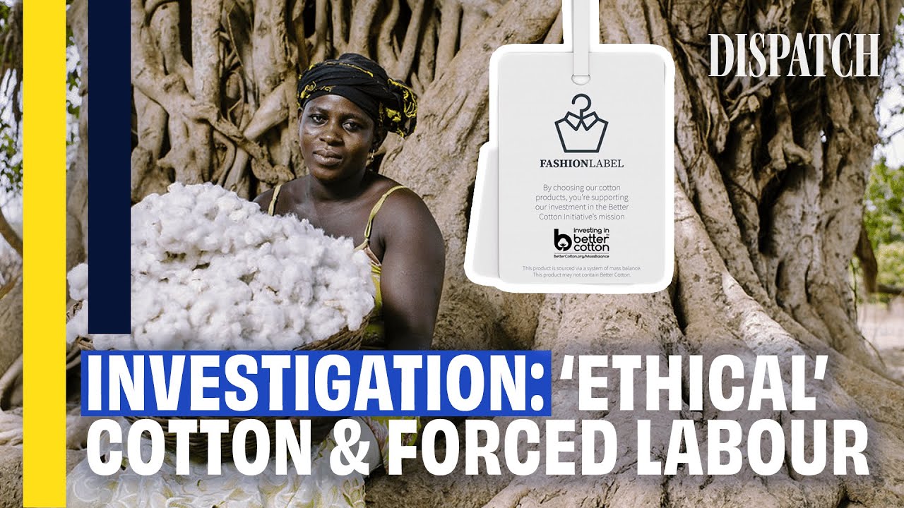 How Ethical Is 'Ethical Cotton'? Secrets Of The Sustainable Fashion ...