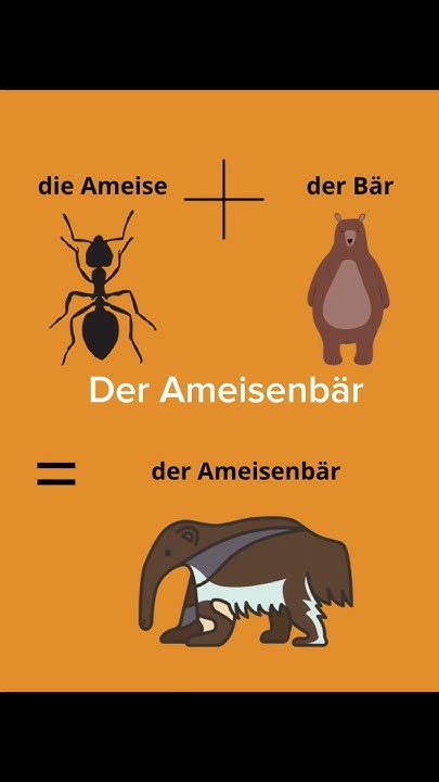 Learn German Easily Learngerman Easygerman Learngermannowdeutschland Speakgerman