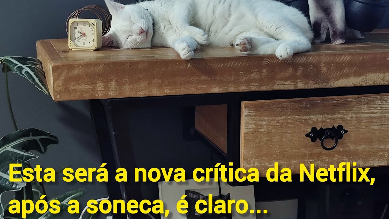ELA NÃO PISCA! A concentração Absoluta da GATA assistindo TV - YouTube