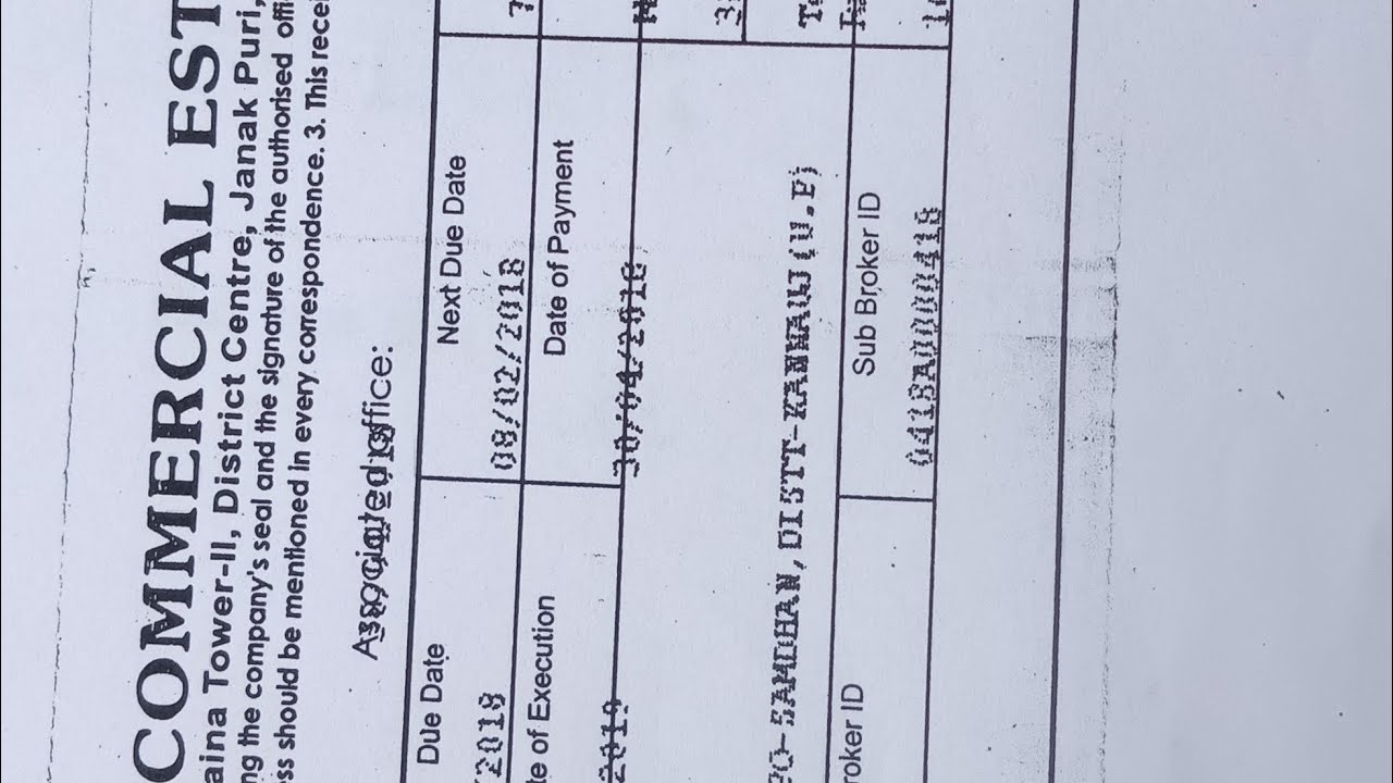 kim future vision kim news 2023 - YouTube