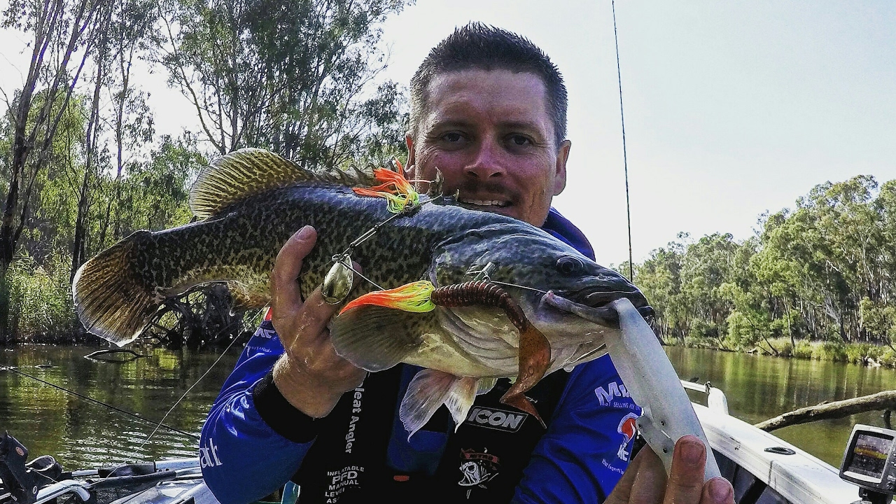 Murray Cod Fishing - River Green And Gold - YouTube