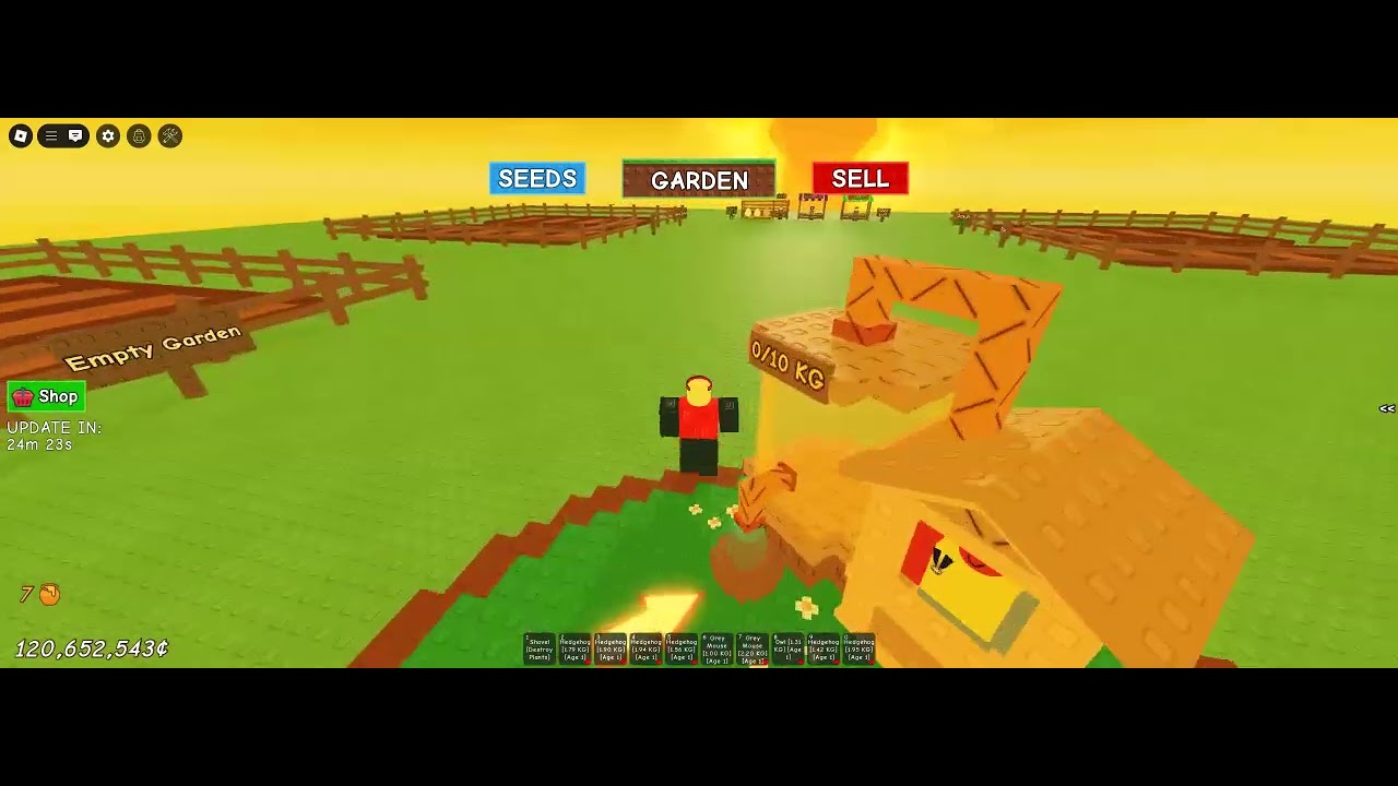 Sun God Event in Grow A Garden - YouTube