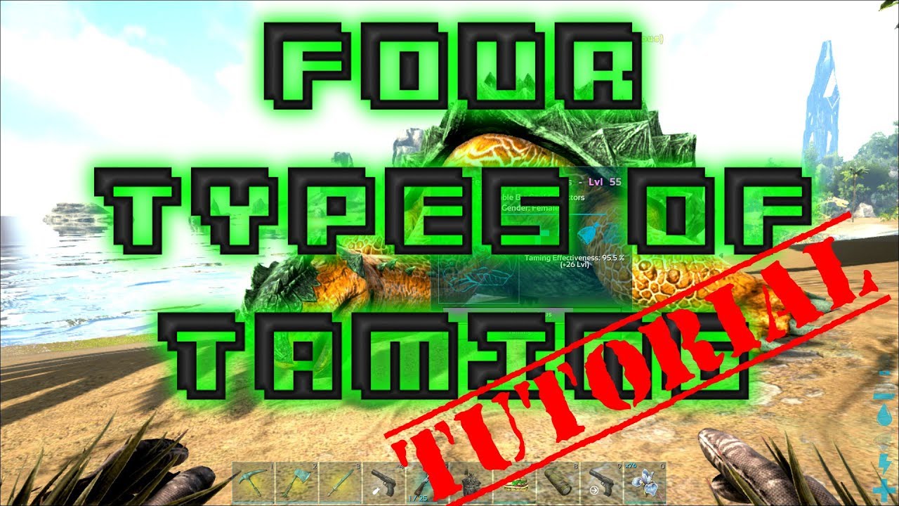 The 4 Types of Taming Tutorial - YouTube