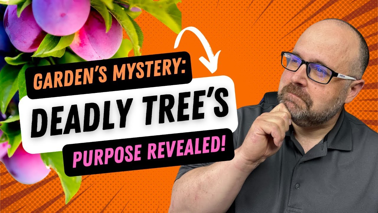 Garden's mystery: Deadly tree's purpose revealed! - YouTube