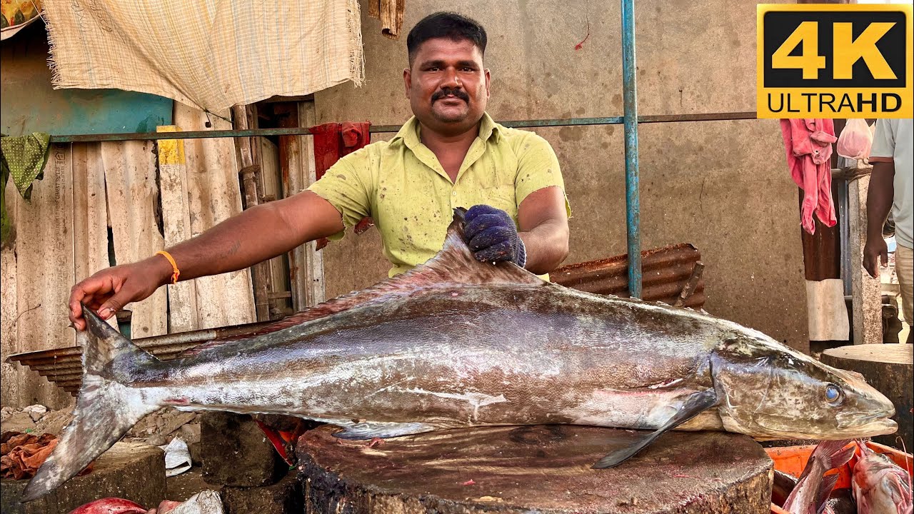 Kadora fish cutting video Fishcuttingrs #fishcuttingrs #kasimedu #fish ...