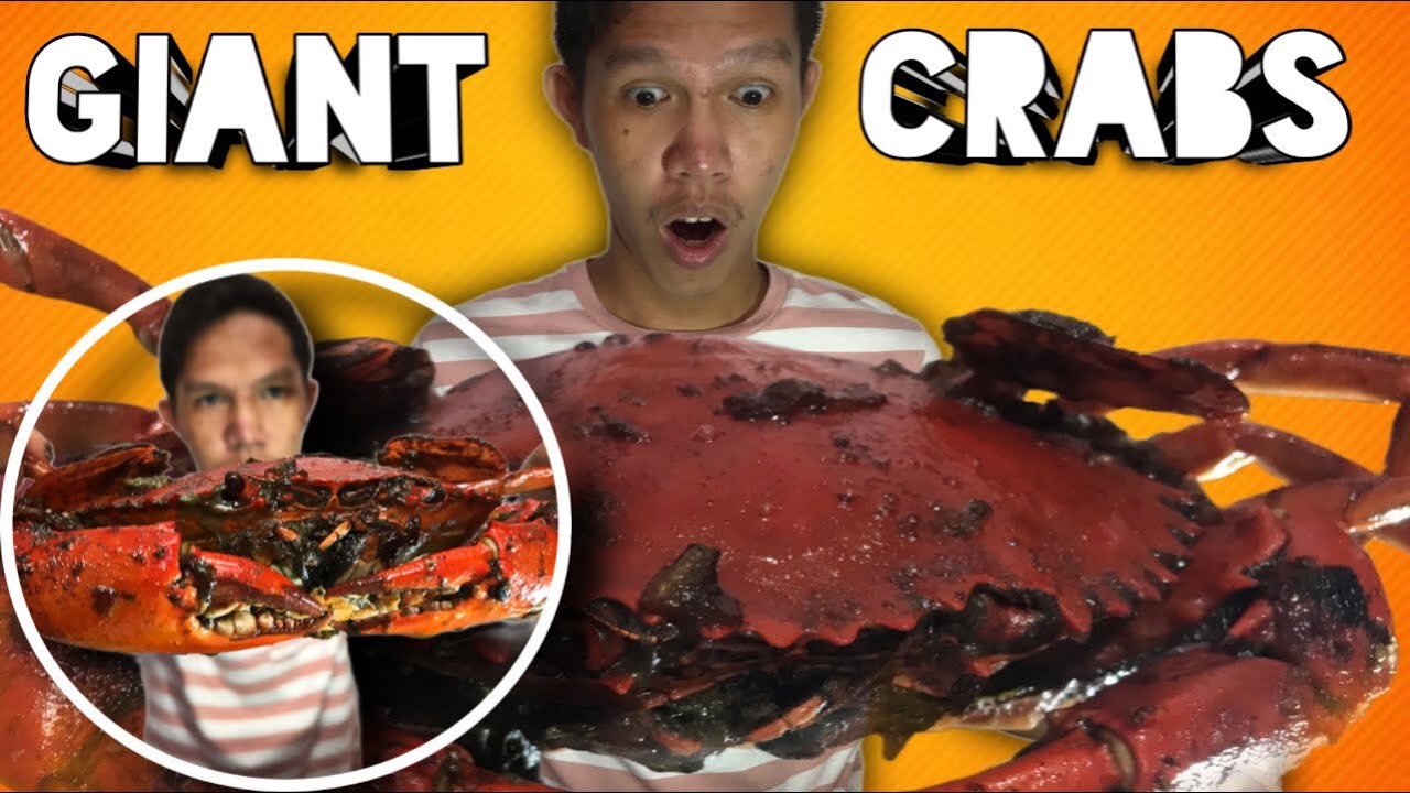 GIANT FEMALE MUD CRAB with GARLIC SAUCE - YouTube