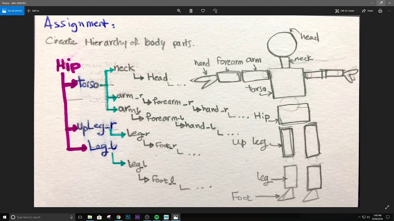 Part 2- Create a hierarchy for basic humanoid using groups - YouTube