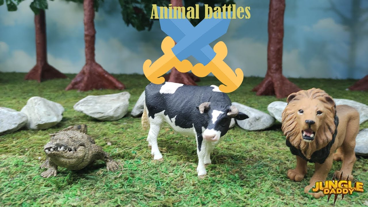 Animal battles - YouTube