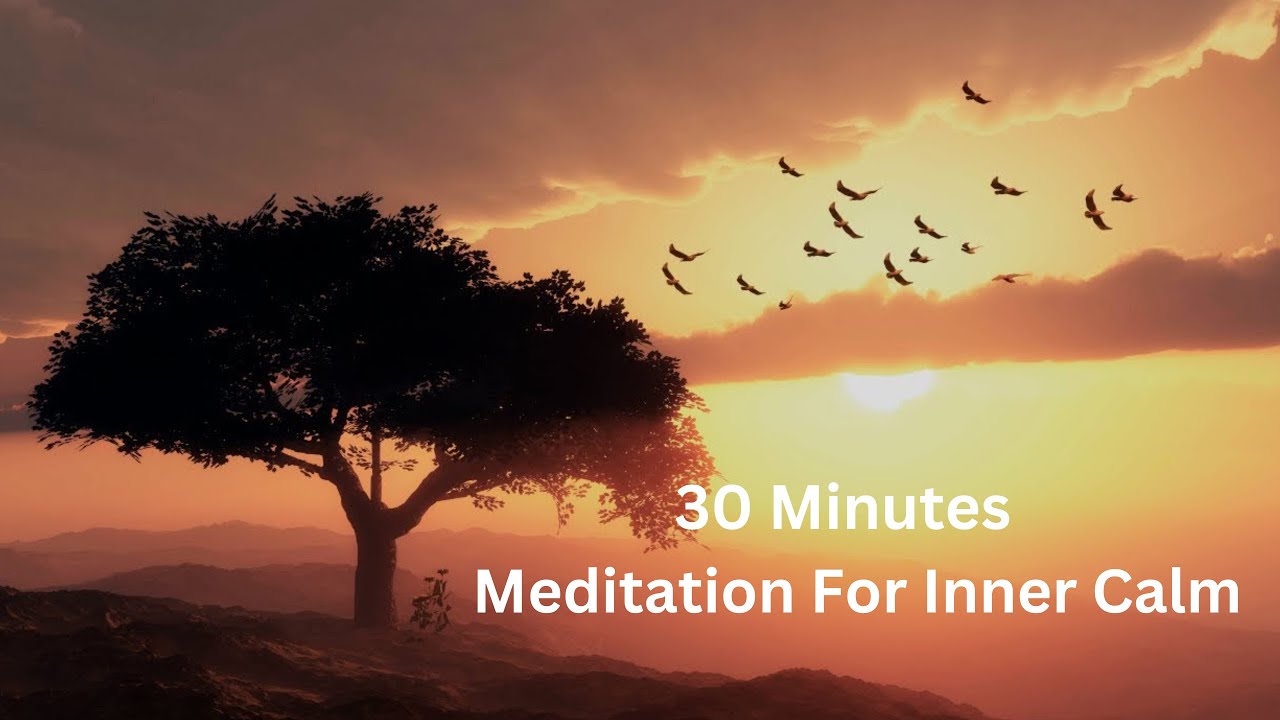 30 Minute Guided Meditation for Mindfulness: Reduce Stress & Find Inner Peace - YouTube