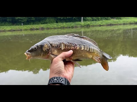 Кубок західного регіону з Freestyle method feeder селище Сатанів - YouTube