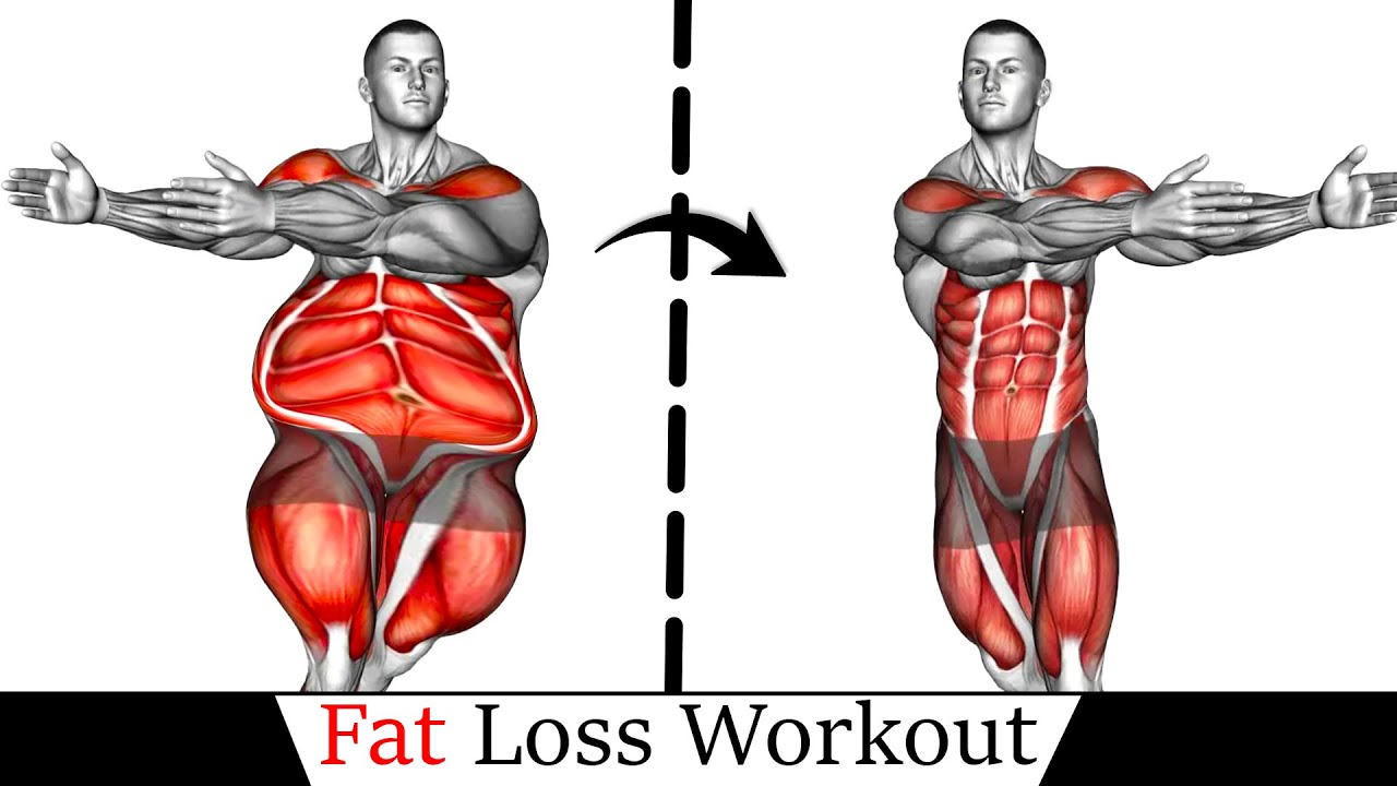 full body fat burning exercises | how to lose full body fat | fat loss ...