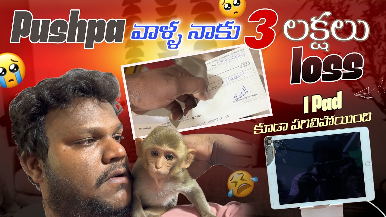 Pushpa చేసిన పని వల్ల నాకు 300000 Loss. Naa Apple Ipad Kuda ...