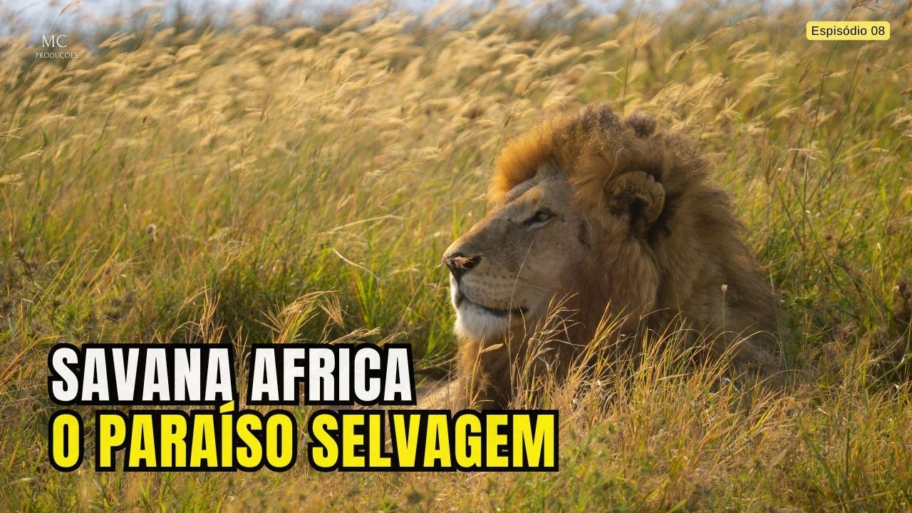 SAVANA AFRICA - PARAÍSO SELVAGEM - YouTube