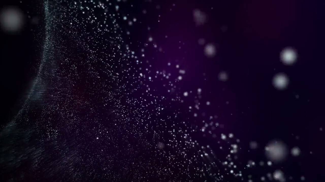 PIXABAY free videos - BACKGROUND 19 - YouTube