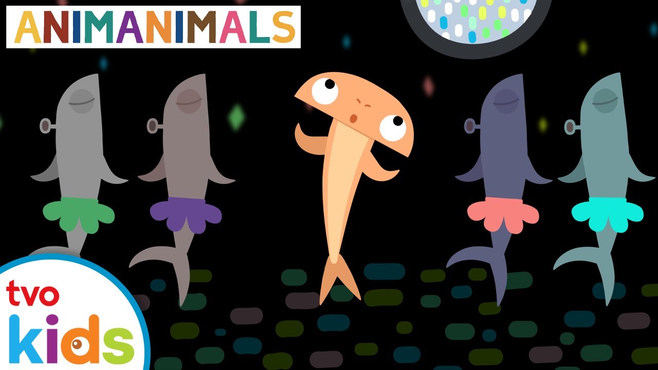ANIMANIMALS 🦈 Hammerhead Shark 🦈 Season 2 NEW FULL EPISODE!! Animal ...