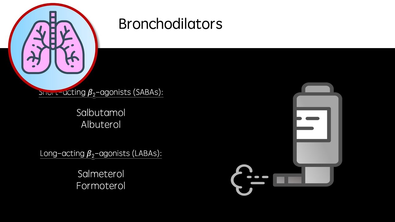 Bronchodilators - Asthma/COPD - YouTube