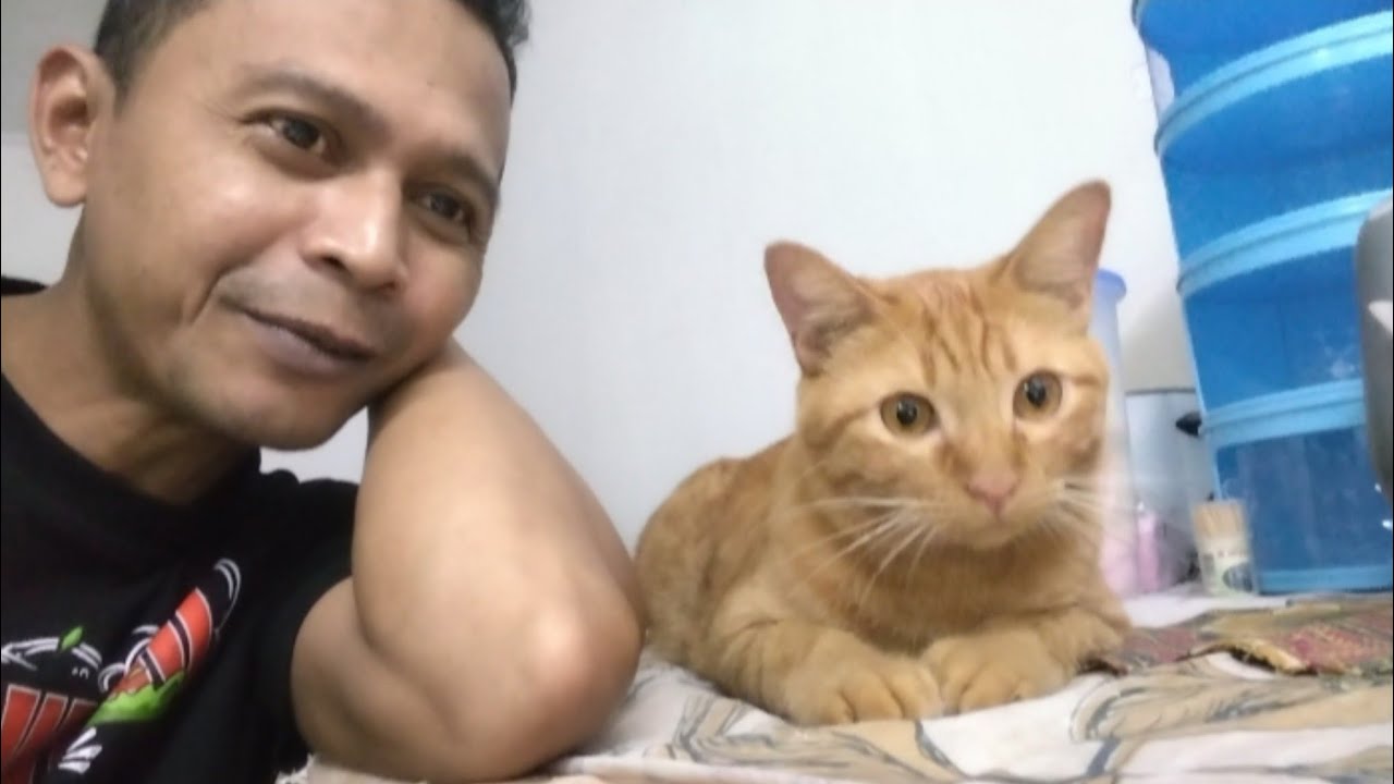 Saraz Mode Kalem Kucing viral - YouTube
