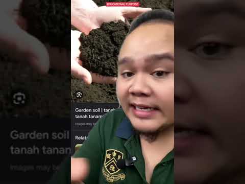 MANFAAT MANDI HUJAN UNTUK PESAKIT MENTAL…