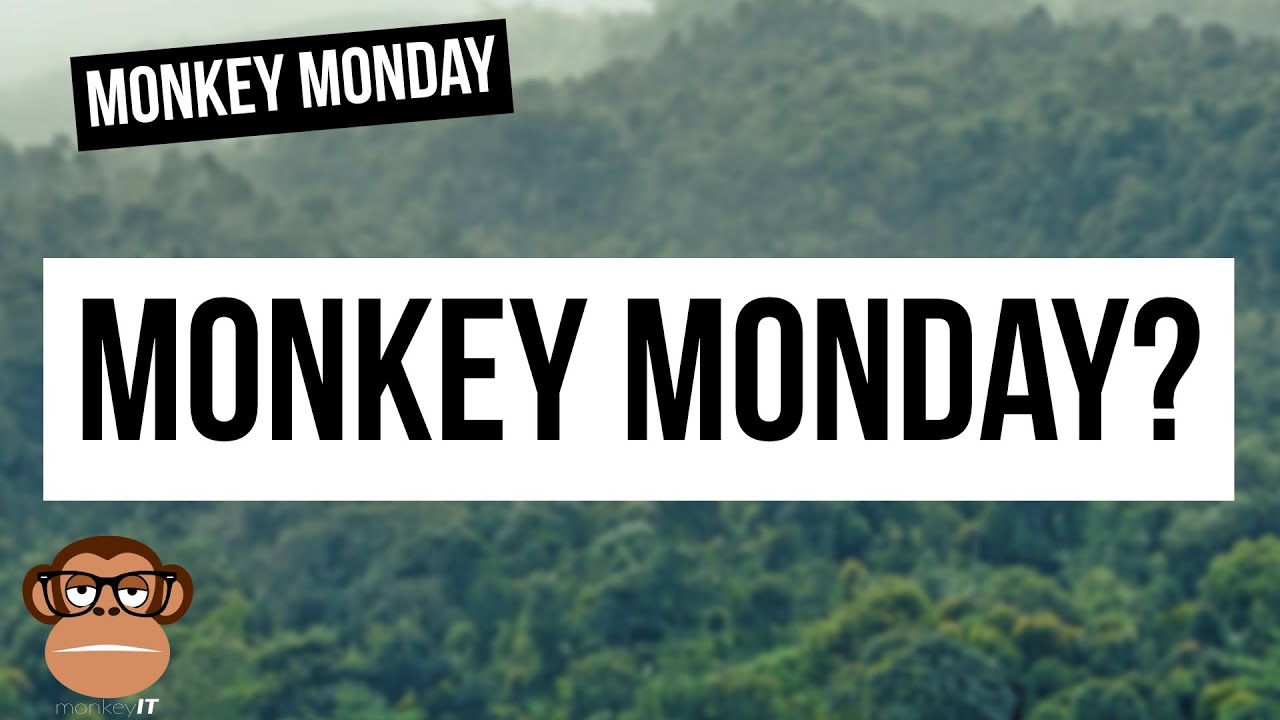 Monkey Monday - Was ist der Monkey Monday? - YouTube