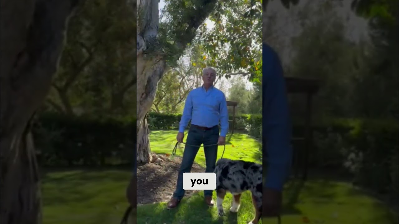 Shield your assets and family's inheritance by minimizing estate taxes ...