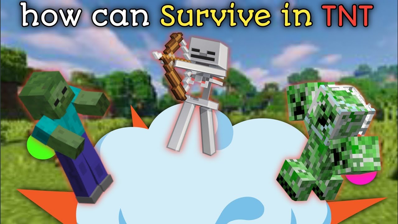 How Can Survive Zombies ,Skeleton and Creepers in TNT Blast | Minecraft ...