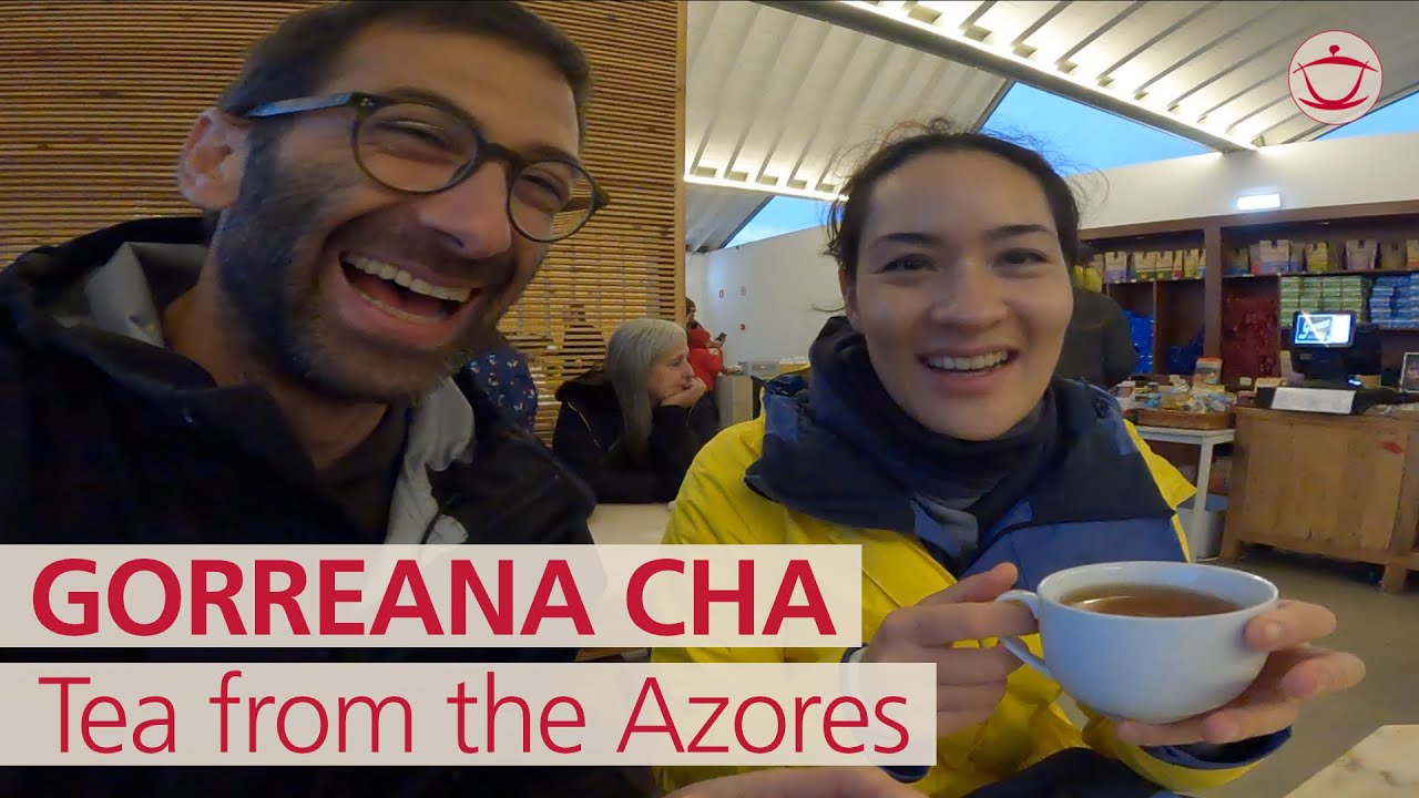 Visiting Gorreana Cha: a tea plantation on the Azores islands - YouTube