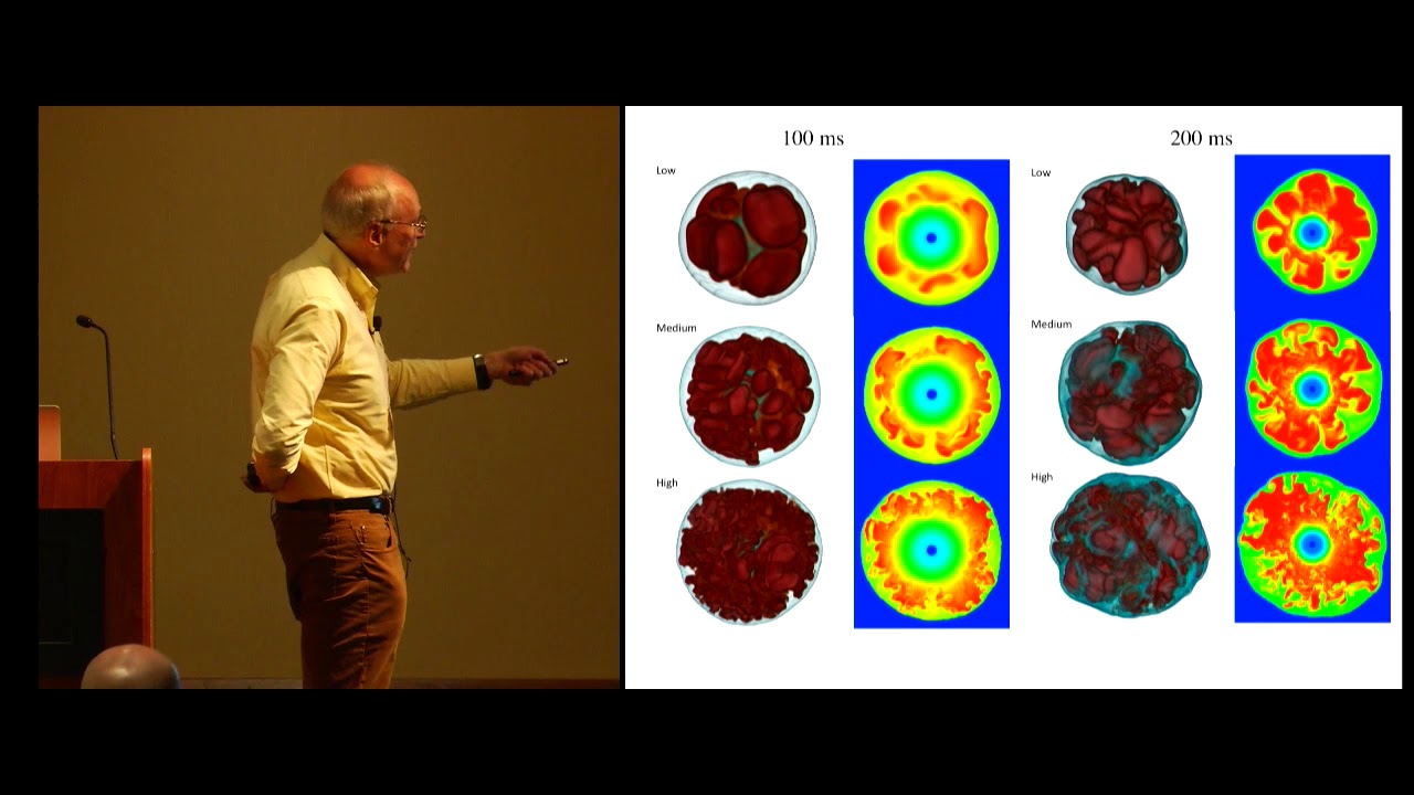 Three-Dimensional Supernova Explosion Simulations - Adam Burrows - YouTube