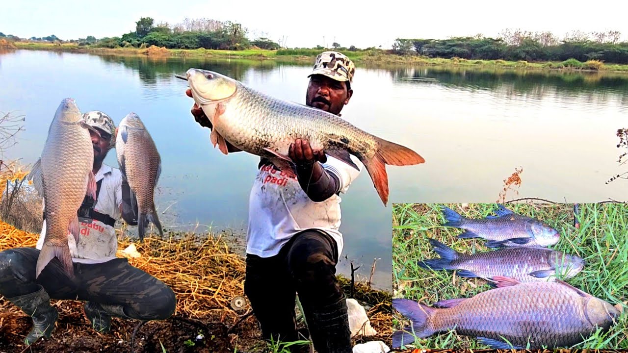 Amazing Fishing Video| 9kg Big RohuFish& CatlaFishCatching| Hyderabad ...