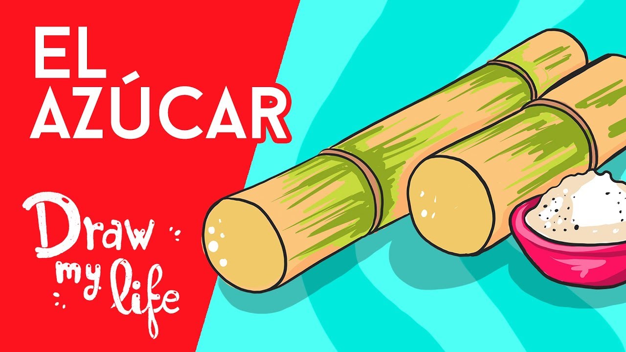 Las verdades del AZÚCAR DE CAÑA - Draw My Life - YouTube
